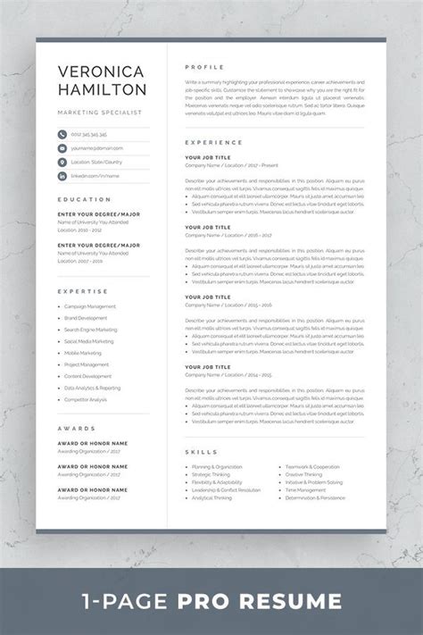 Professional Resume Template Compact 1 Page Resume Template Modern