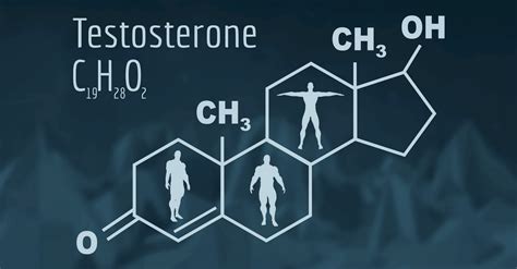 Testosterone Optimizationreplacement Therapy Tottrt The Mens Center