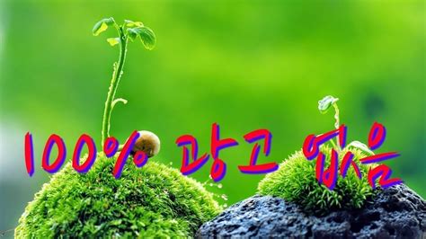 100 광고 없음 아름다운 클래식기타 연주곡모음 수면음악 힐링음악 잔잔하고 감미로운 피아노 연주음악 모음 클래식 연속듣기 Violin Instrumenta Youtube