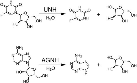 Nmr Based Activity Assays For Determining Compound Inhibition Ic 50