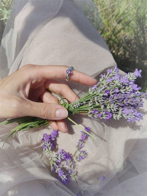 Лаванда Лаванда Сирень Лавандовые поля