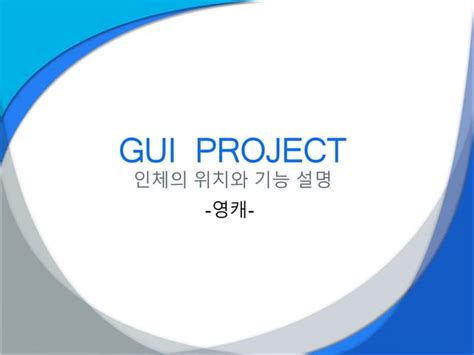 Gui Ppt 영캐조 Ppt