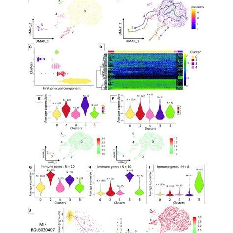 A Umap Representation Of Cluster 5 Identified After Removing Clusters Download Scientific