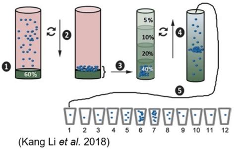 Exosome Isolation Services Creative Biostructure