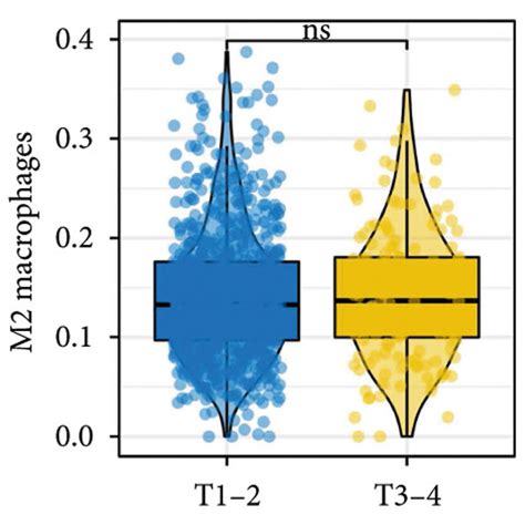 Exploration Of M2 Macrophages In Lung Cancer A Quantification Of M2