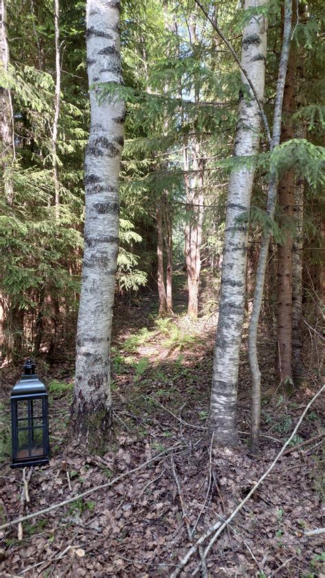 Märchenpfad Abenteuer Im Märchenwald Valkeisen Loma Ähtäri