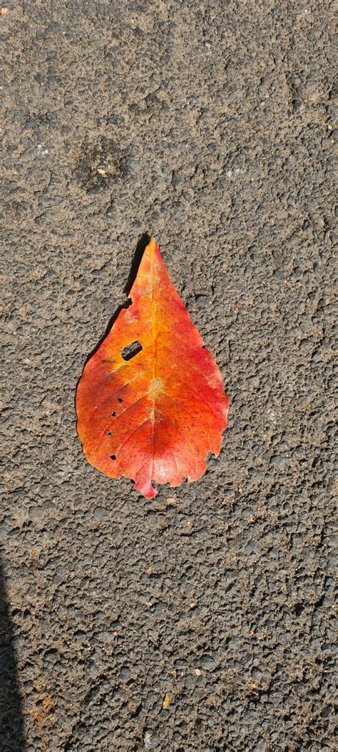 Arjun P Rao On Linkedin Dear Artist Jan Read Jan In Hindi Dear Artists Every Now And Then