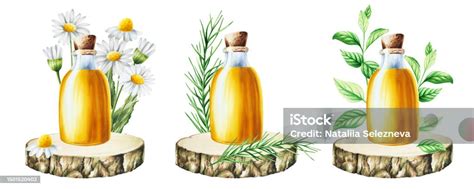 나무 톱에 코르크 뚜껑이 달린 수채화 물감 세트는 흰색 배경에 분리된 민트 로즈마리 카모마일로 자른다 미용 제품 및 식물학 요소 미용 및 의학 디자이너 스파 장식 엽서 포장