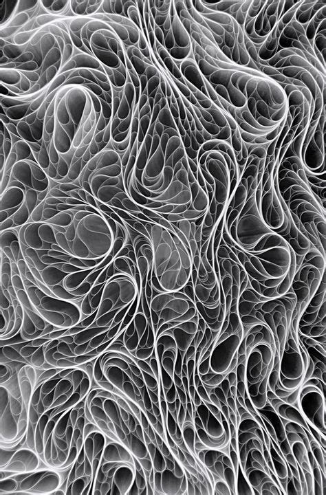 Create Such A This Pattern In Grasshopper Patterns In Nature Texture