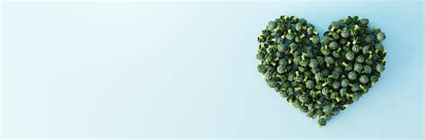 양배추 브로콜리 심장 모양 매우 현실적인 3d 렌더링 복사 공간 수평 배경입니다 과일에 대한 스톡 사진 및 기타 이미지 과일