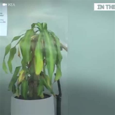 samatha reddy narala på linkedin samathareddynarala leadershipcoaching leadershipdevelopment