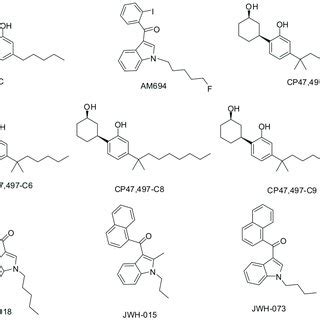 Quantitative Structure Activity Relationship Modeling Strategy Download Scientific Diagram