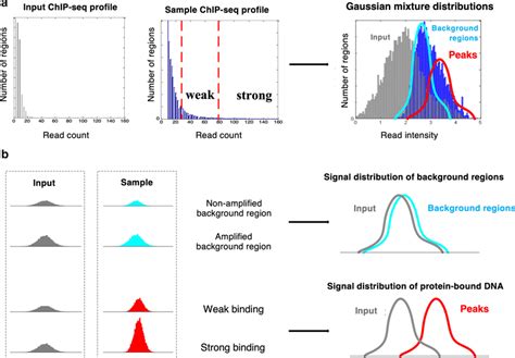 Chip Seq Peak Detection Using A Gaussian Mixture Model Chip Bit2 A Download Scientific Diagram