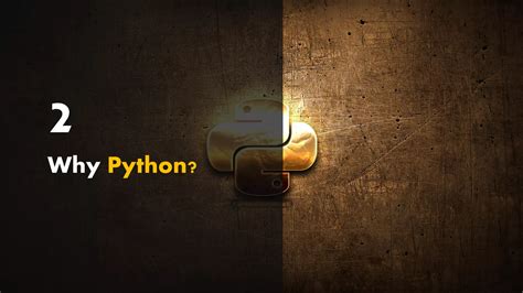 First Steps In Python Programming Ppt