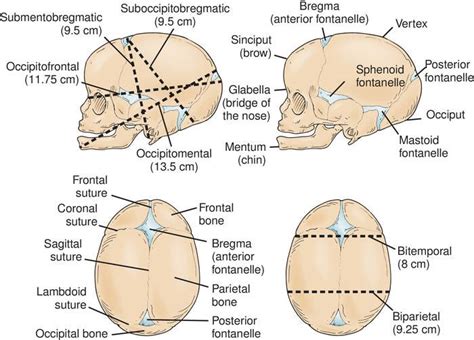Causes Of Bulging Anterior Fontanelle