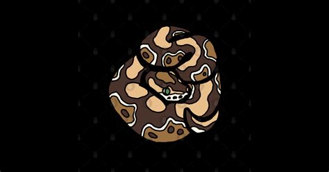 bold ball python normal ball python sticker teepublic