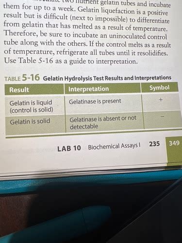 Lab Practical 2 Flashcards Quizlet