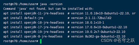 Ubuntu22安装OpenJDK ubuntu22 安装openjdk CSDN博客