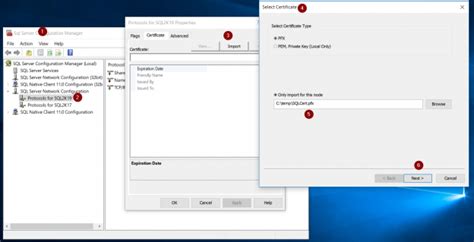 Certificate Management In Sql Server 2019