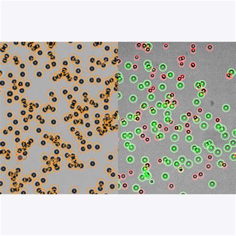 improved optics and counting algorithm perform excellently even with