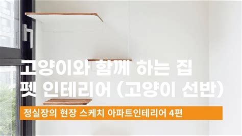 아파트 쇼츠영상 4편ㅣ펫 인테리어 고양이 선반 Youtube