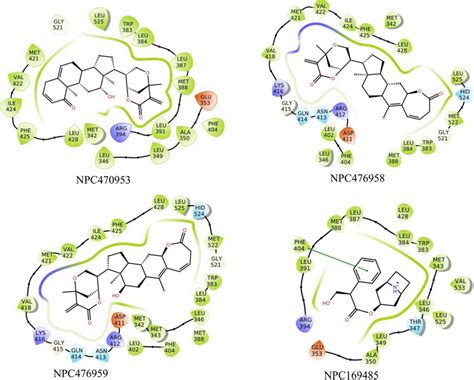 2d Representation Of Protein Ligand Interactions Of The Top Four Ligands Download Scientific