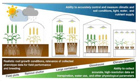 Crop Phenotype To Genotype Loop Source Yang Et Al Download Scientific Diagram