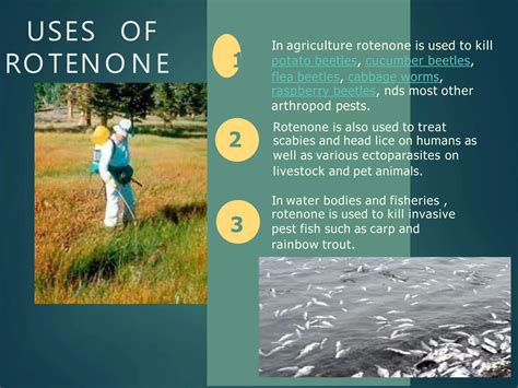 Rotenonepptx