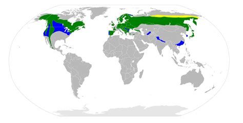 Northern Goshawk Habitat Map