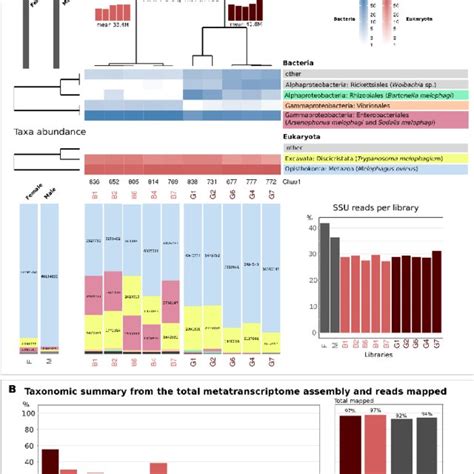 Fig1 Ribosomal Rna Depletion Efficiency And Species Download Scientific Diagram
