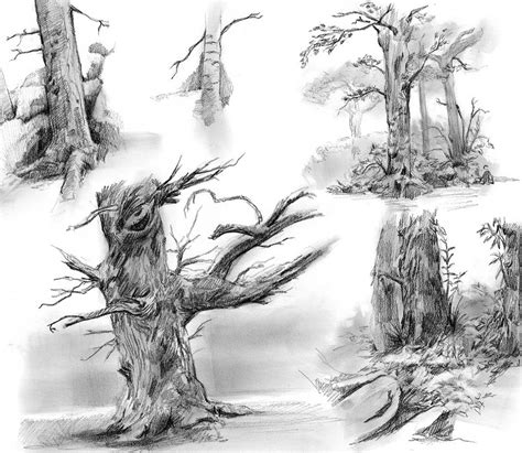 Sketchbook Trees By Gtillustration On Deviantart