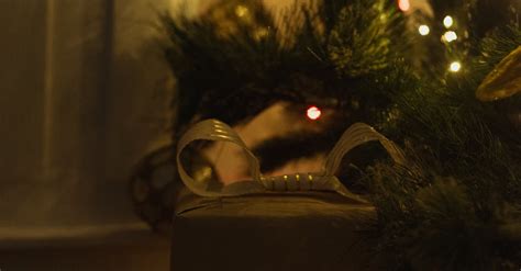 장식된 크리스마스 트리 아래에 있는 값비싼 선물 · 무료 스톡 사진