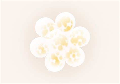 What Is Apob Learn Why Its The Future Of Heart Disease Prevention