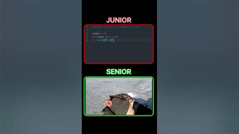 How To Become A Senior Developer ♥️ 😂 Programming Python Coding Developer Coder