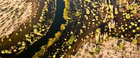 Fred Phillips Consulting Vegetation Monitoring On The Colorado River