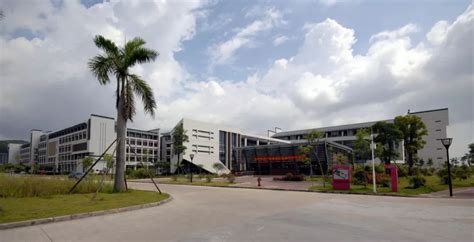 广东职业技术学院3证书高考 广东职业技术学院高职高考网