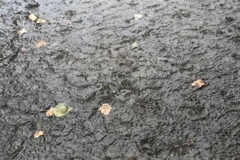 印象白云鄂博一场雨洗刷出别样的美丽