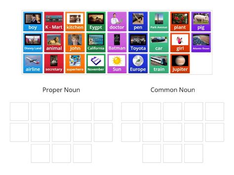 Homework Classify The Nouns Group Sort
