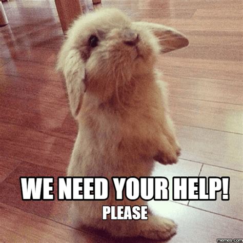 20 Help Memes That Get It Right