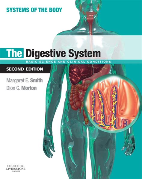 Amazon The Digestive System Systems Of The Body Series English