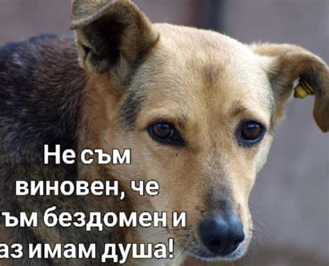 Клюки слухове скандали и новини от българският и световен шоубизнес