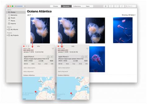 How To Find And Delete Duplicate Photos In IPhoto Nektony