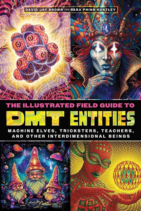 Ealaín Dmt