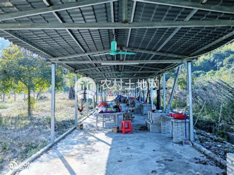 转让广州市增城区50亩休闲度假农场 农村土地网