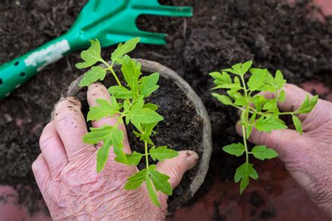 How To Reduce The Risk Of Cognitive Decline With Age