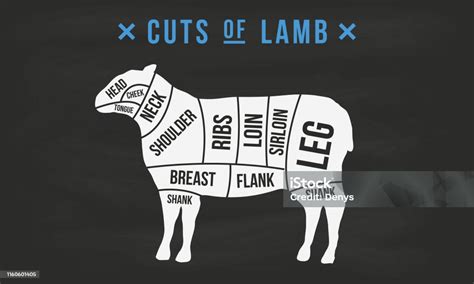 어린 양의 상처 정육점의 가이드 다이어그램 정육점 고기 가게 식료품 점 레스토랑을위한 빈티지 포스터 벡터 일러스트레이션 양고기에 대한 스톡 벡터 아트 및 기타 이미지