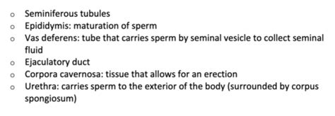 A P Lab Reproductive Flashcards Quizlet