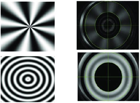 Example Of Radial And Circumferential Fringes Left As They Are On The Download Scientific