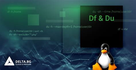 Как да проверите използваното дисково пространство в Linux с командите Du и Df Блогът на Deltabg