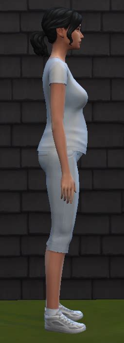 Sims 4 Pregnancy Belly Mods 2019 Nzomega